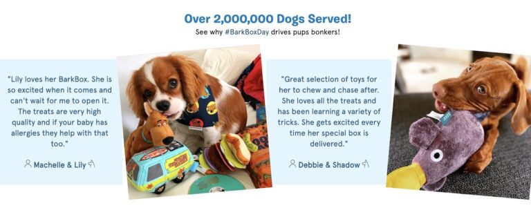 How To Review Your Website Content (A 6-Step Guide & Checklist)